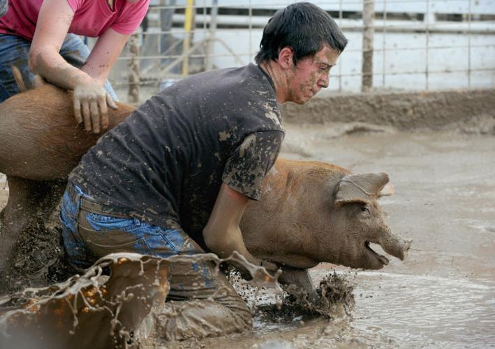 Pig Wrestling at the Fair | Photo Gallery | idahopress.com