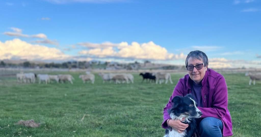 Idaho Basques, their sheep and their dogs featured in film | Local News ...
