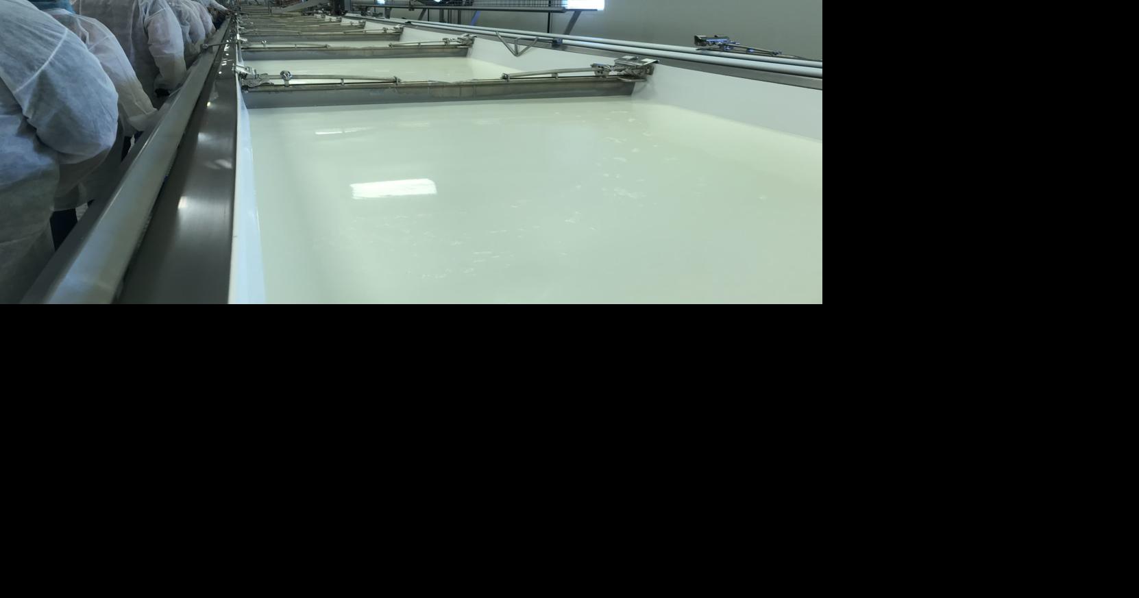 Lactalis opens for Business Educator Exchange tours | Local News ...
