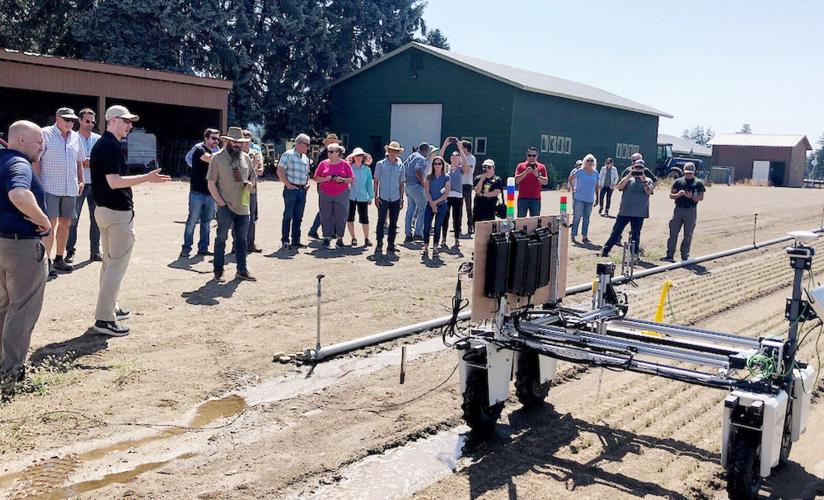 U of I, USDA demo robotic weeding system to improve national reforestation | Local News ...