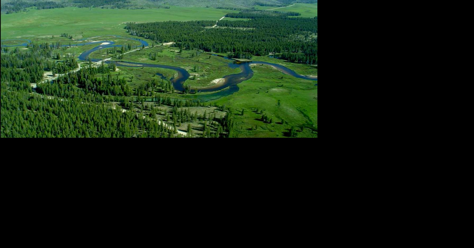 Climate change shrinking chinook habitat | Community | idahopress.com