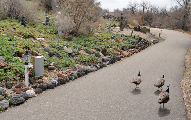 Cleo's Nature Trail | Photo Gallery | idahopress.com