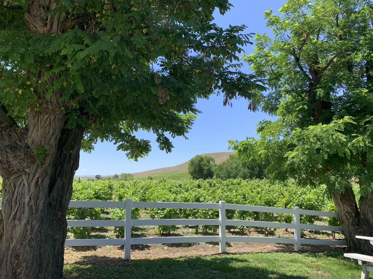 Which Way to the Wine? A tour of Idaho's wineries | Food & Drink ...