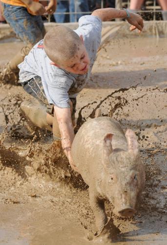 Pig Wrestling at the Fair | Photo Gallery | idahopress.com