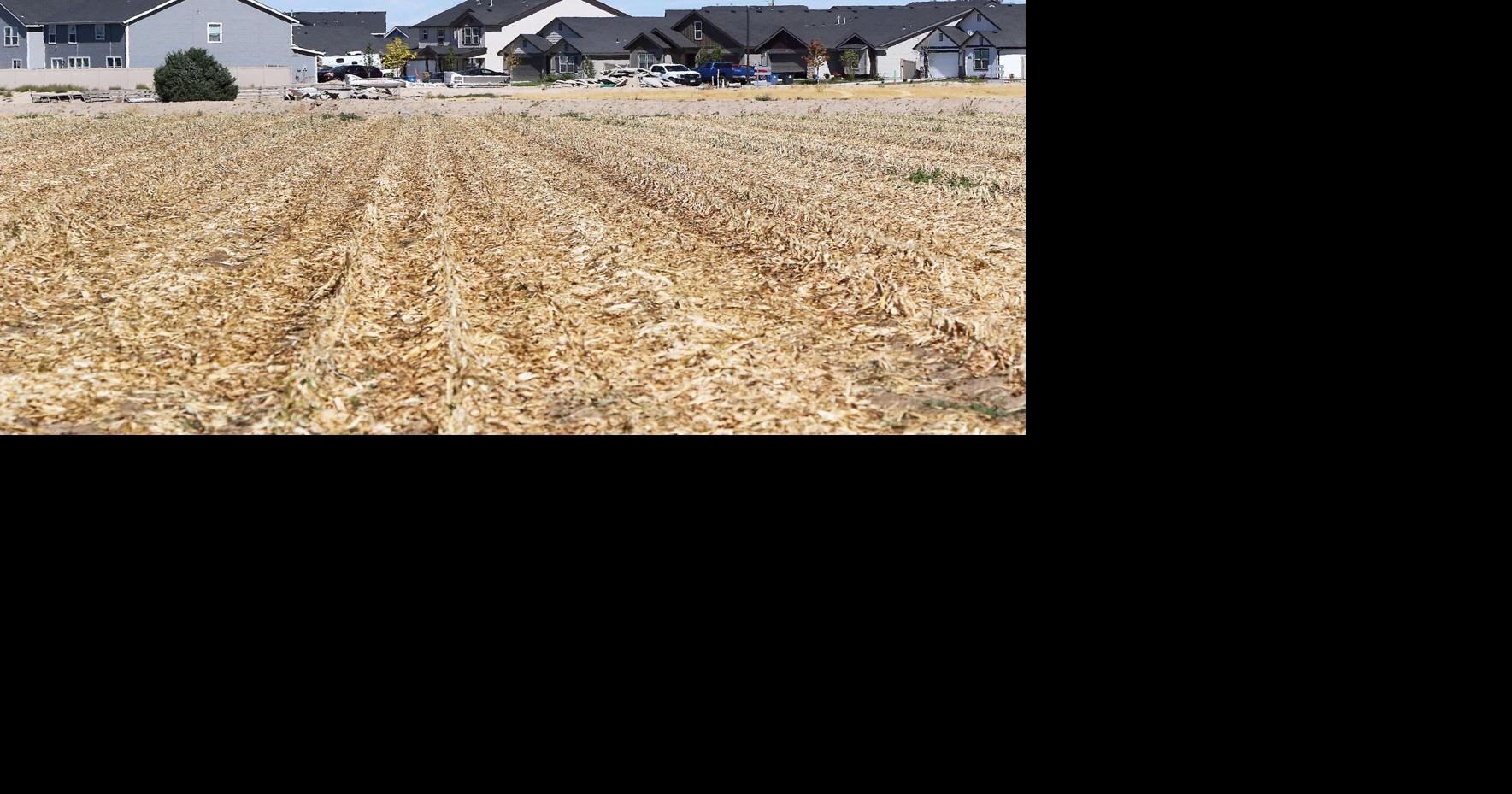 'Honor and respect': Idaho leaders talk farmland preservation | Local ...