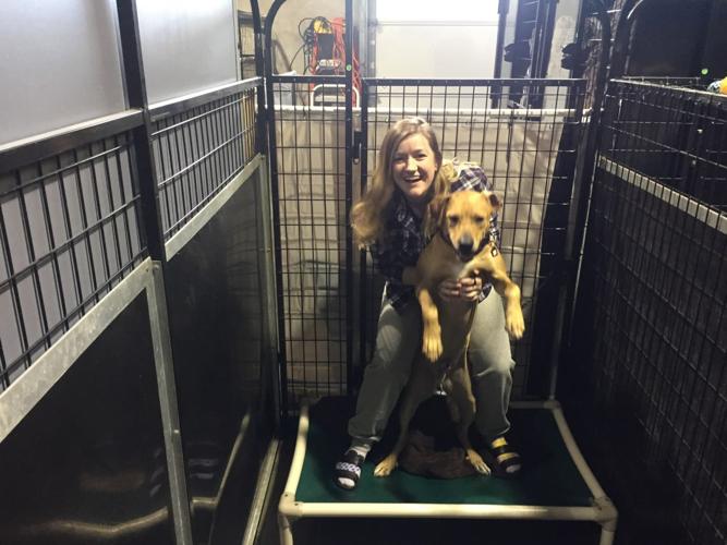 Meridian Canine Rescue focuses on behavior training, storytelling for ...