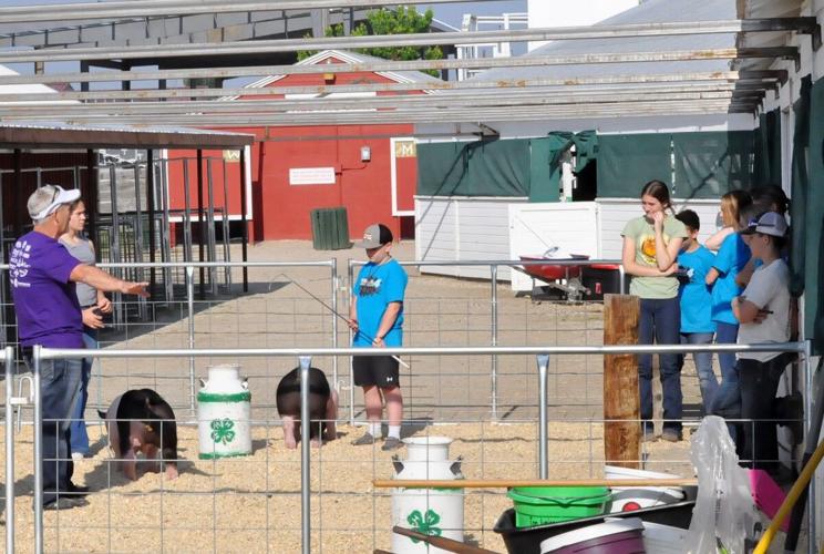 Planning for summer stock shows and county fair is underway | Community ...