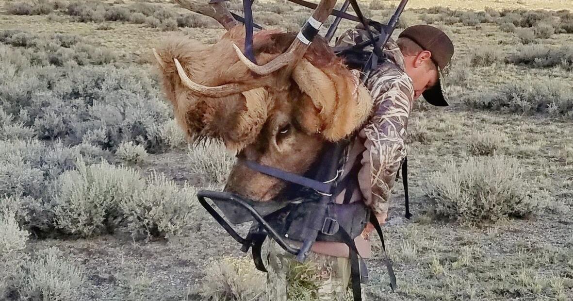 2024 Hunting Prospects in Southwest Idaho | Local Sports | idahopress.com