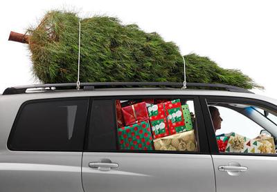 Tips to safely transport a Christmas tree | Local News | idahopress.com