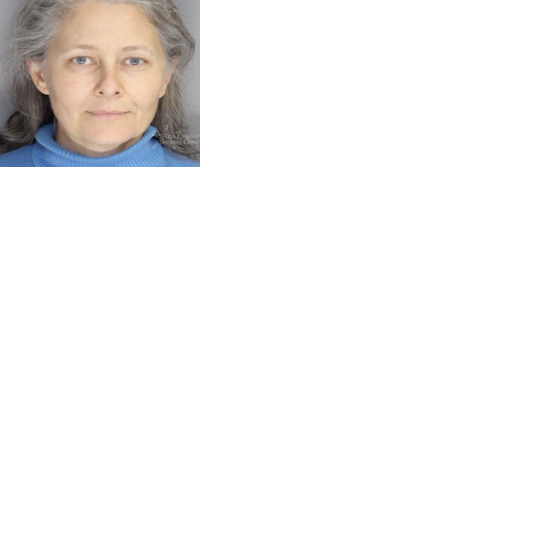 Caldwell woman who protested Central District Health official's home ...
