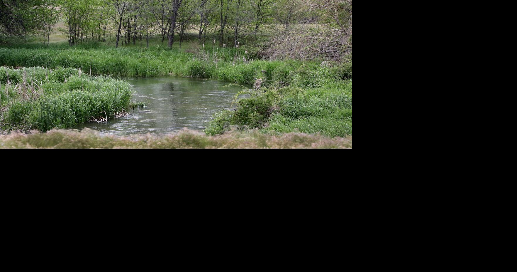Nampa awarded $3.5 million to reutilize wetlands for clean water ...