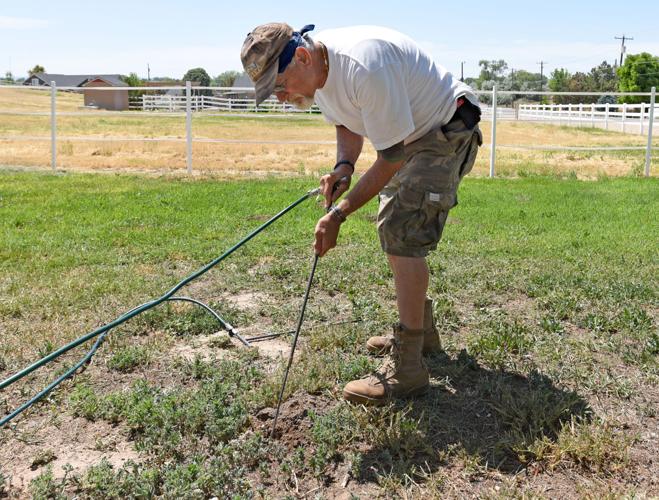 Gophers going strong following mild conditions | Community Columns ...