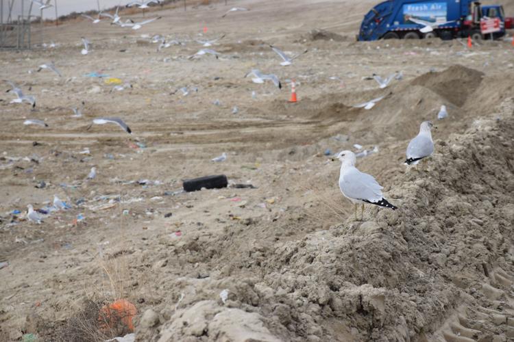 Pickles Butte Landfill is crushing it — garbage, that is | 2018 ...