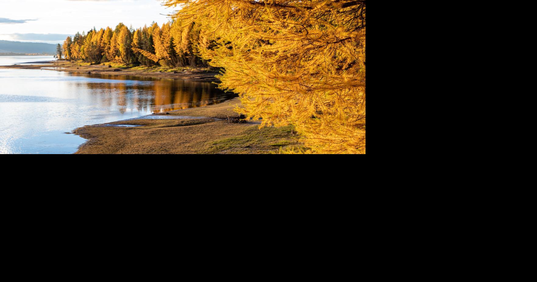 Take a scenic drive to Tamarack for Oktoberfest and more | Money ...