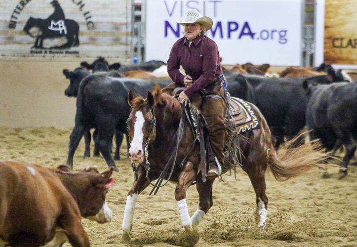 A cut above: Cutting horses and riders showcase skills in Nampa | Local ...