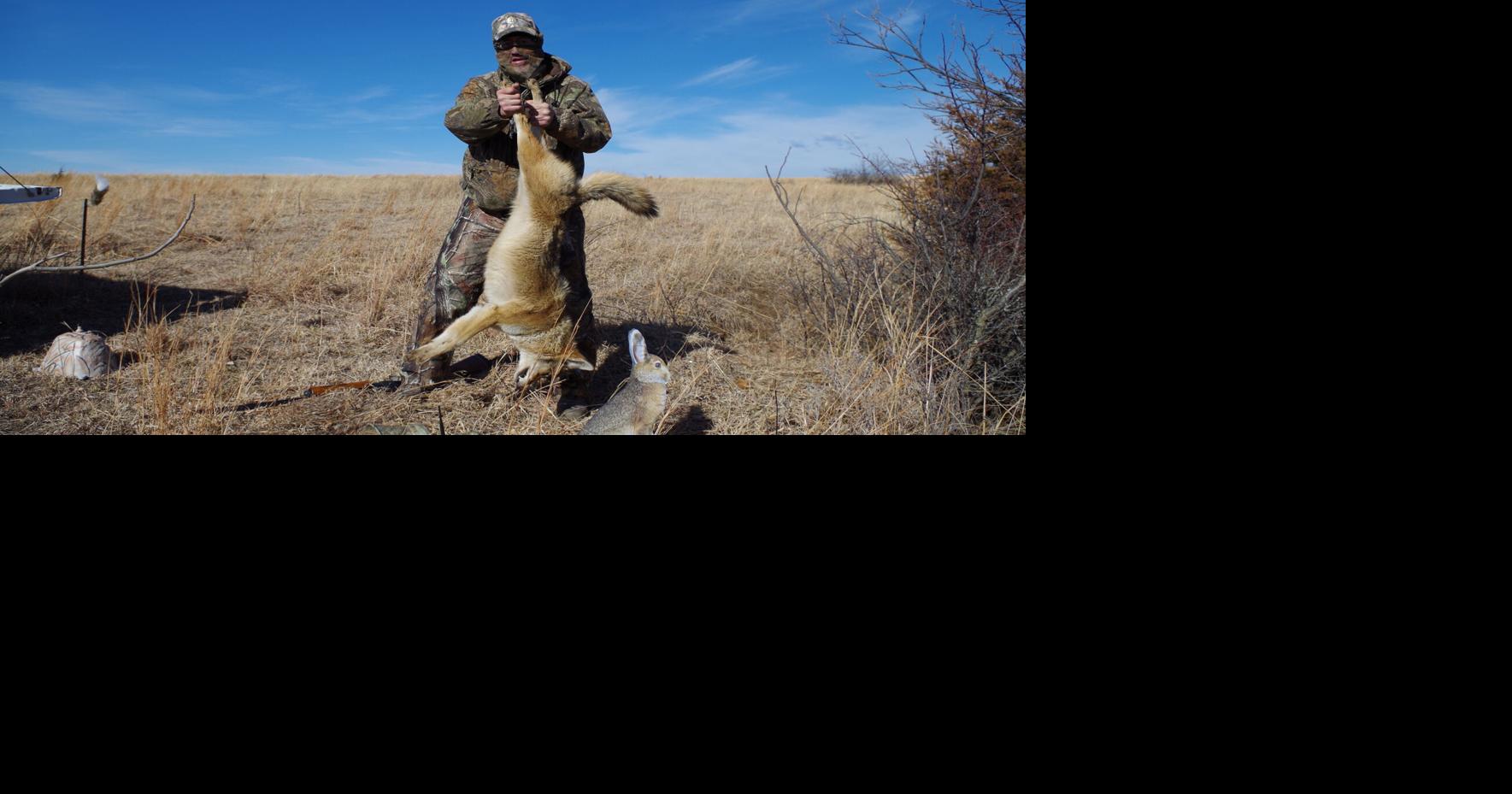 Tom Claycomb: Now's the time of year for varmint hunting | Outdoors ...