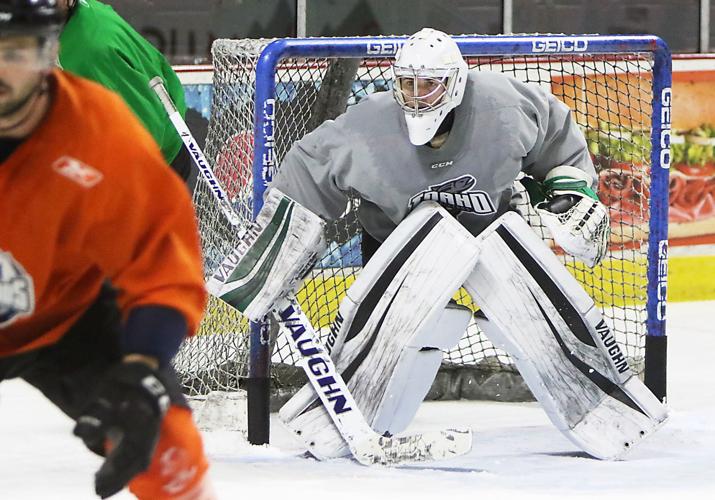 After nearly giving up hockey, Sholl shining in net for Steelheads ...