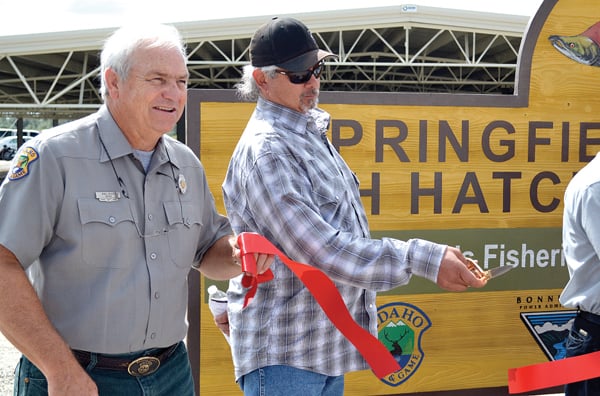 Sockeye’s genes to be used at new hatchery | Members | idahopress.com