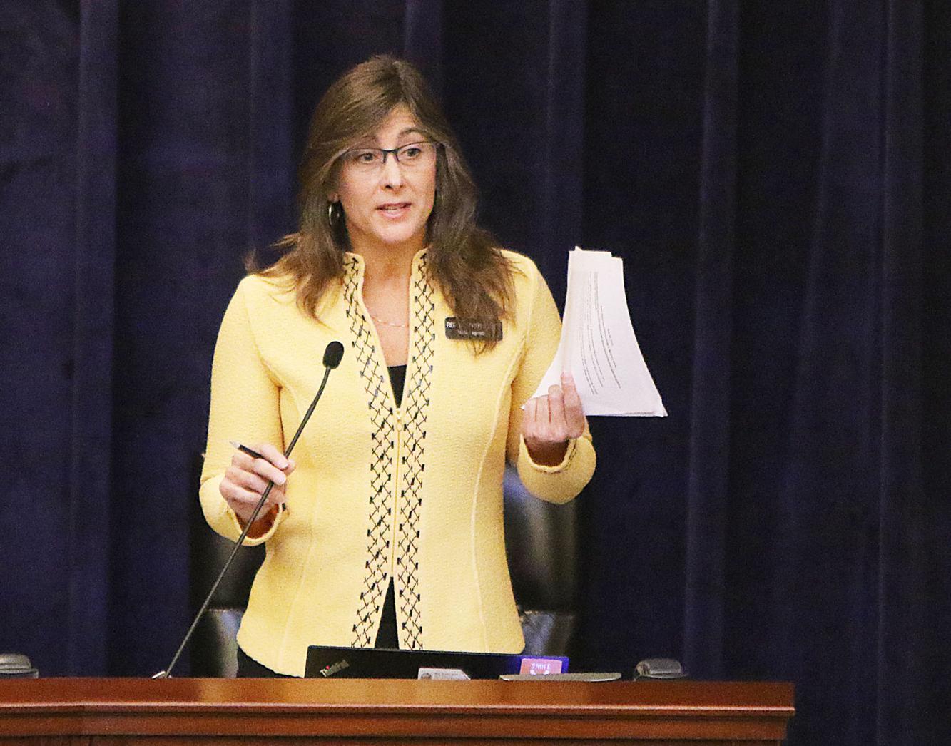 Committees introduce two flag bills Thursday, banning 'political' flags | Eye on Boise ...