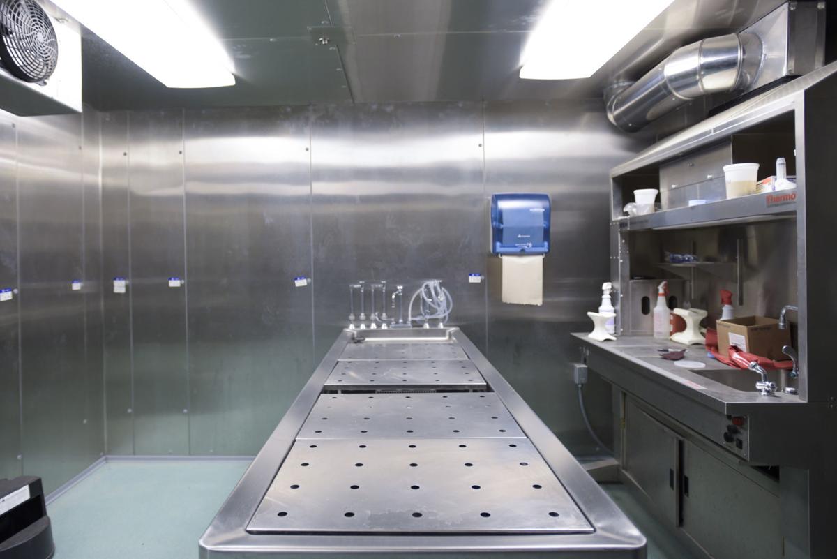 Coroners get to work under any condition | 2018 | idahopress.com