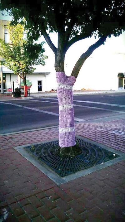Public displays of knit graffiti | Members | idahopress.com