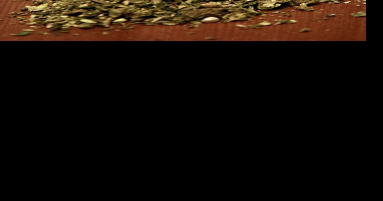 Committee advances resolution so Idaho won't be 'rolled over' by pot ...