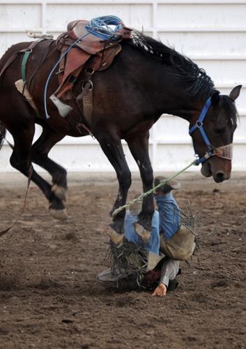 Owyhee County Rodeo | Sports | idahopress.com