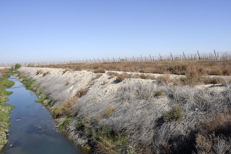 Farmworker housing shortage has growers looking to build | Local News ...