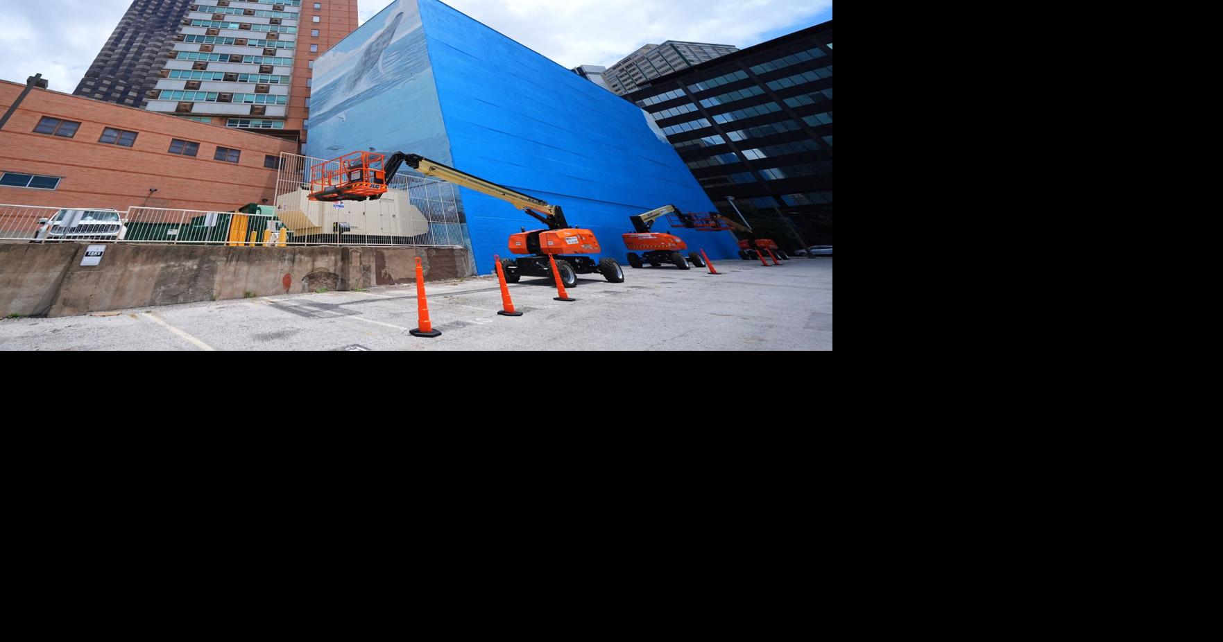 Artist suing FIFA over destruction of Dallas whale mural before World ...