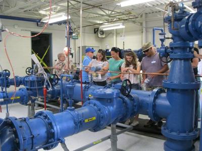 how to decrease manganese levels