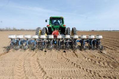 sugar beet planter