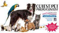 2025 Cutest Pet Photo Contest | | idahopress.com