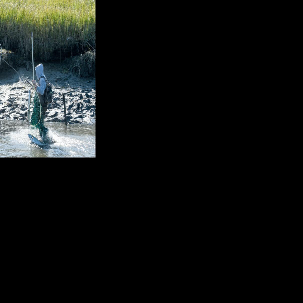 Samish River chinook, Skagit River coho bring fishing opportunities ...