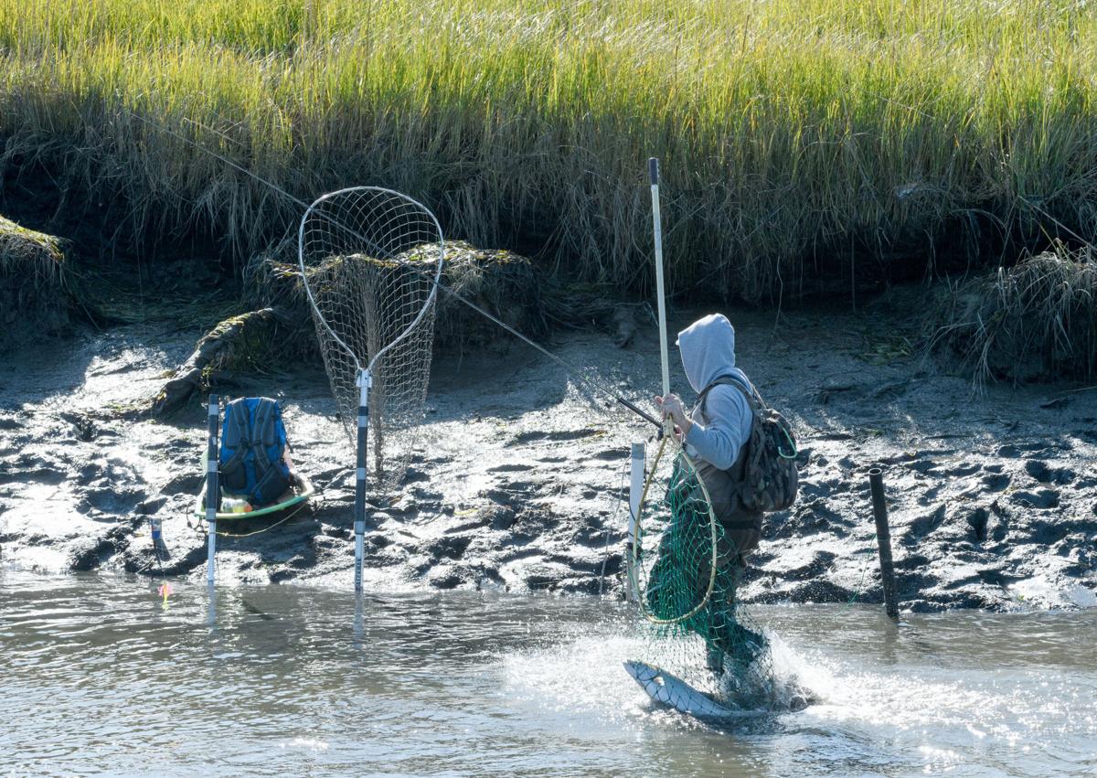 Samish River chinook, Skagit River coho bring fishing opportunities ...