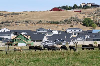 Rural housing issues show housing hardships aren't unique to Idaho's ...