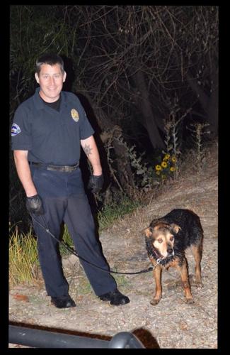 Nampa Police rescue dog from canal Monday | Local News | idahopress.com