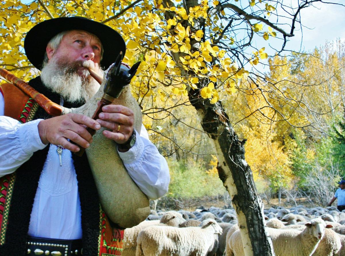 Basque sheepherder brings annual Trailing of the Sheep to life | Life ...