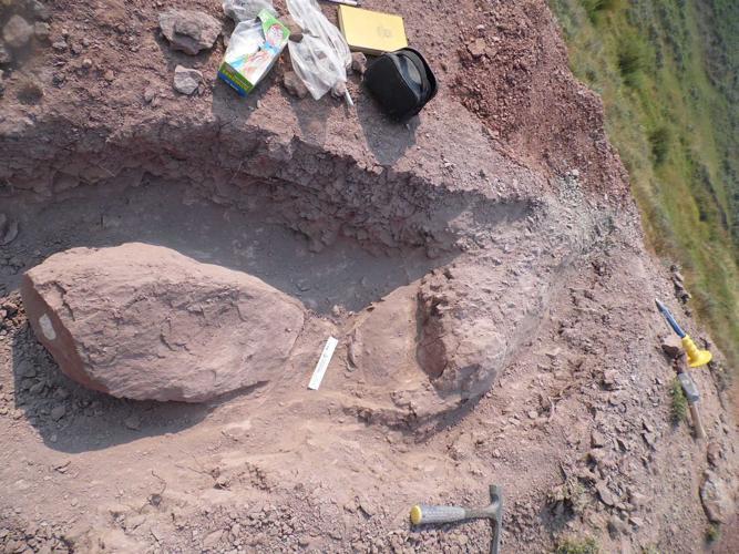 Idaho State University researcher discovers first Idaho dinosaur burrow ...