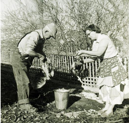 Cook family history | | idahopress.com