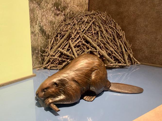 Spend A Day at The Idaho State Moo-seum | Arts & Culture | idahopress.com