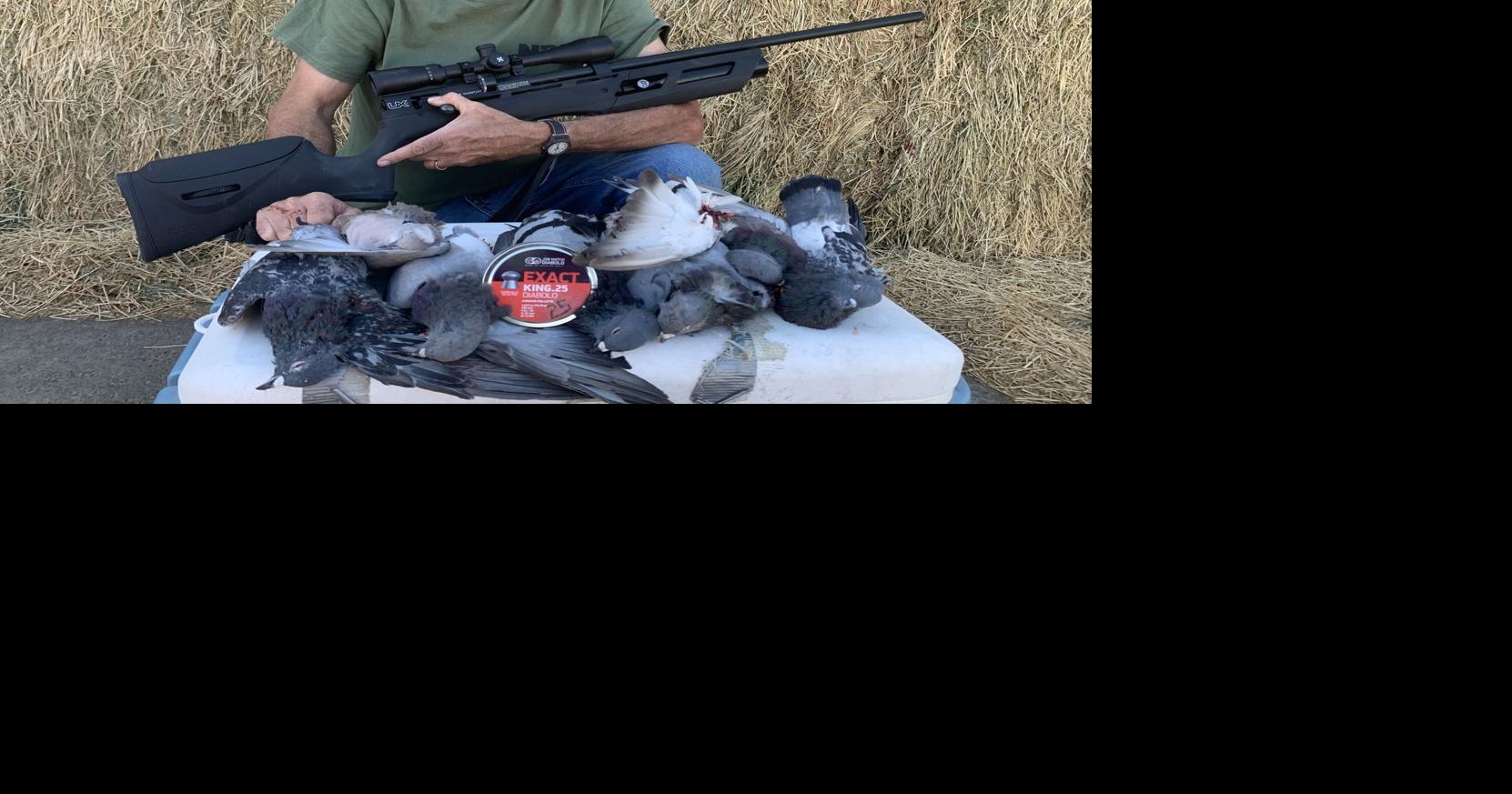 Tom Claycomb: Dove hunting, Part II | Community | idahopress.com