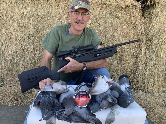 Tom Claycomb: Dove hunting, Part II | Community | idahopress.com