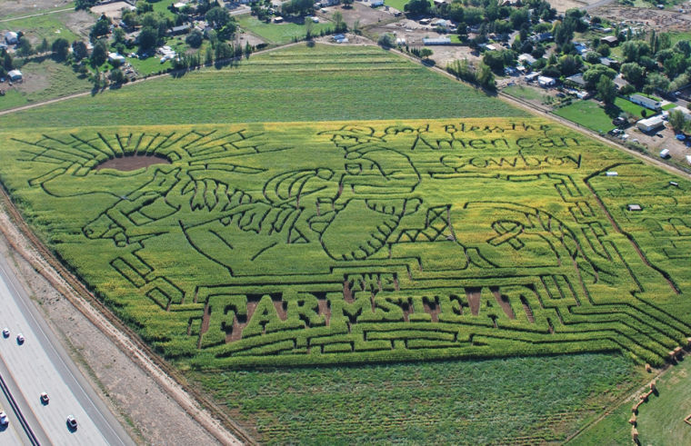 Two mazes offer many attractions | Arts & Entertainment | idahopress.com