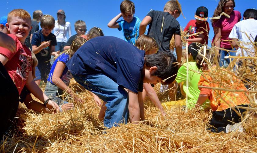 Kuna FFA PALS program ends another successful year | School & Education ...