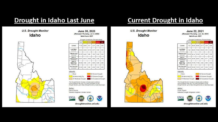 Drought, temperatures create ‘tinder box conditions’ for fire season ...
