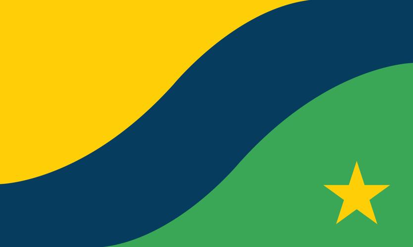Voting now open for new Boise flag | Local News | idahopress.com
