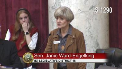 Rural teacher incentive bill clears Senate | Local News | idahopress.com