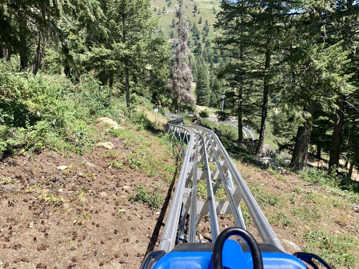 Summertime and the Livin' is Speedy: Bogus Basin offers thrilling ...