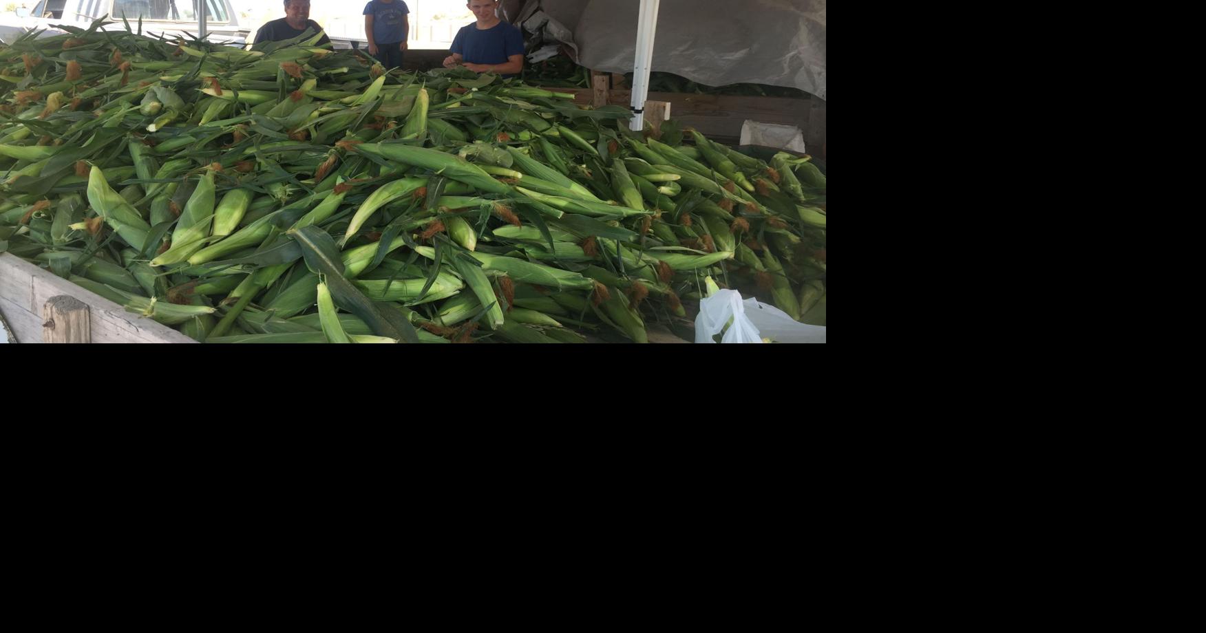 Simpson's sweet corn is sweet | Nampa | idahopress.com