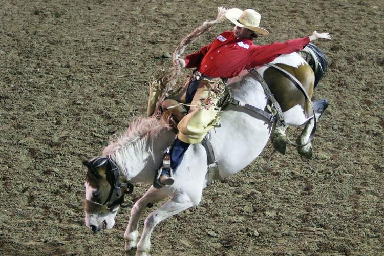 Twin Falls resident Pollock rising quick in rodeo after late start ...